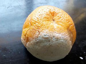 Sour Rot | Pests & Diseases